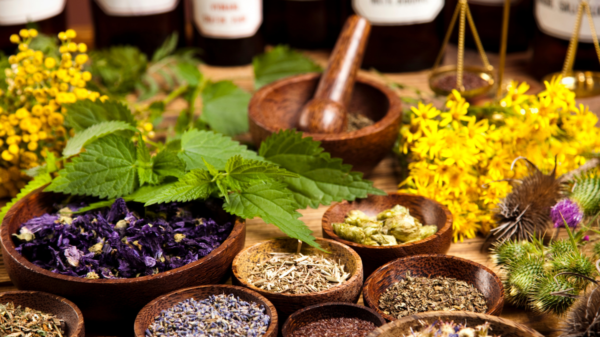 Medicinal Plants: A Fascinating History and Their Powerful Healing ...